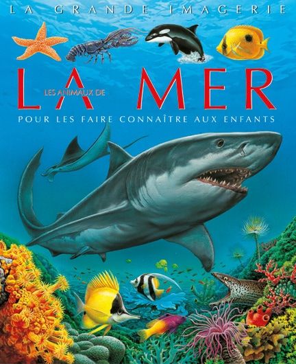 La grande imagerie : Les Animaux de La Mer | ALMOUGGAR.COM