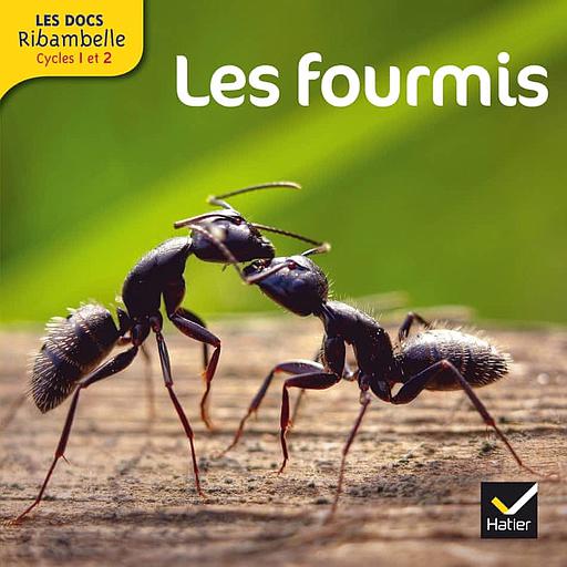 Les fourmis - Grande section, CP, CE1 (Cycle 2) | ALMOUGGAR.COM